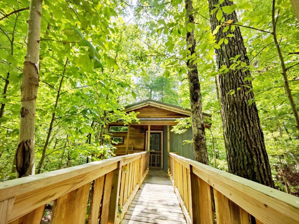 | Glamping & Treehouse Rentals | Monteagle, TN
